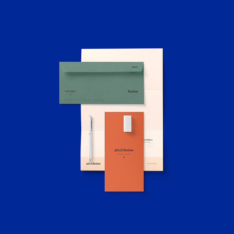 Qode Portfolio - Conso ERP