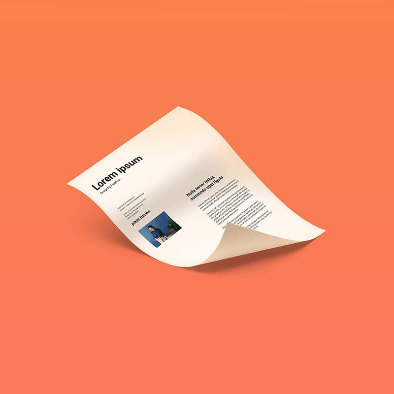 Qode Portfolio - Conso ERP